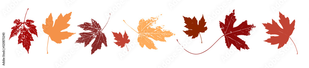 Autumn maple leaves, orange fall leaf, thanksgiving or halloween design ...