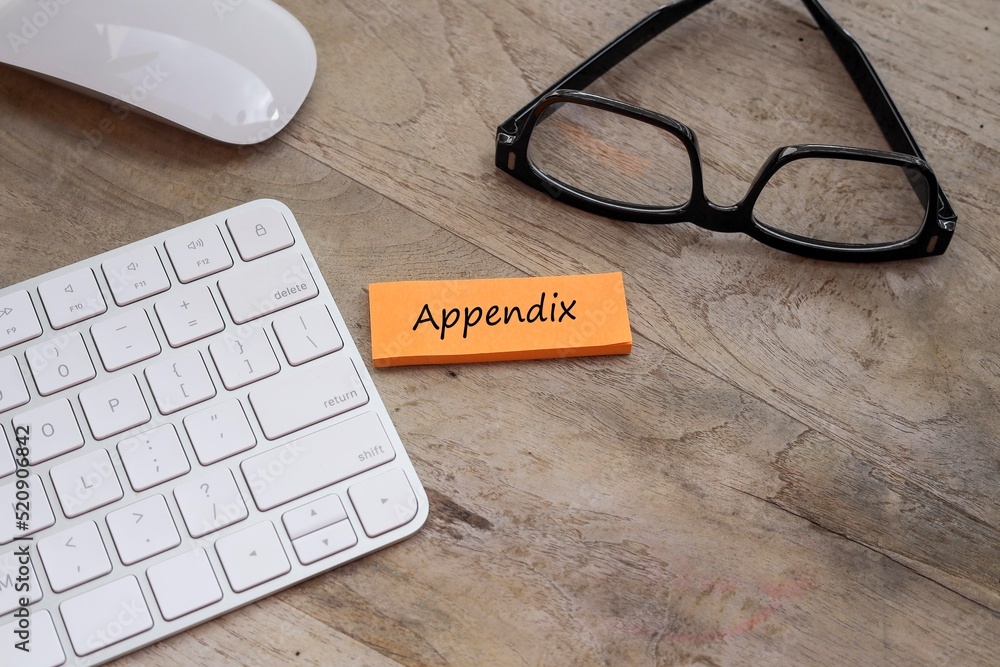 Focus on the word APPENDIX written on the orange post-it note with a ...