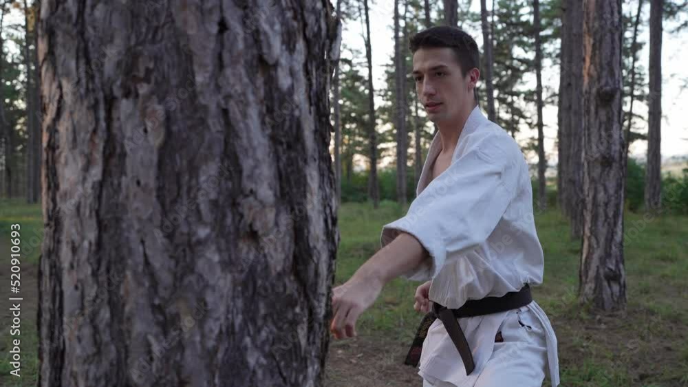 One man male karateka caucasian adult young martial artist training ...