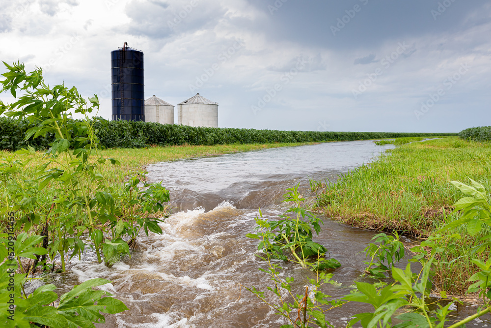 Flooding rain water flowing through farm field waterway. Farming ...