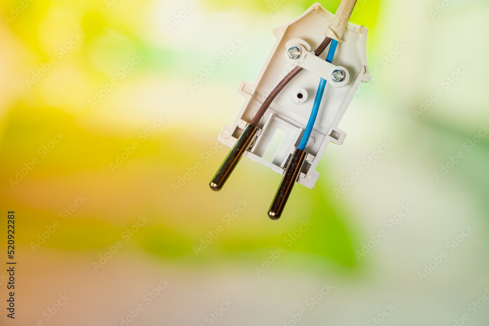 Electrical appliance plug in a cut with the insides close-up on a ...