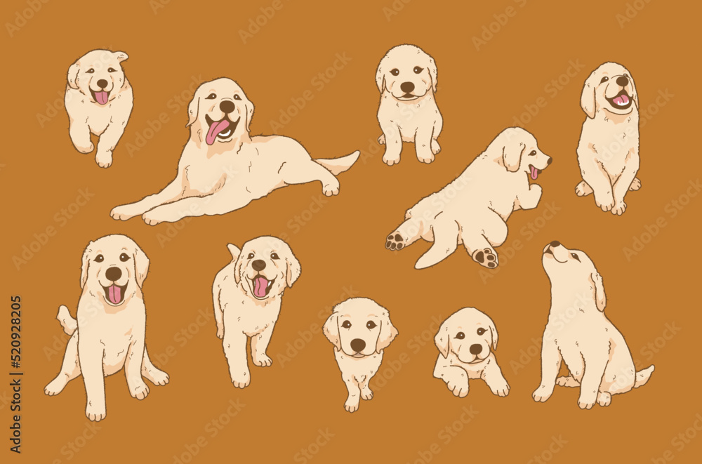 Cartoon Playful golden retriever puppy illustration solated vector set ...