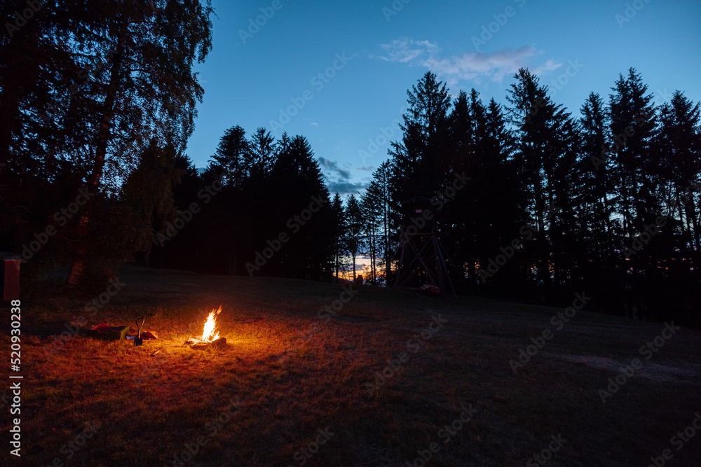 Small Campfire In Forest