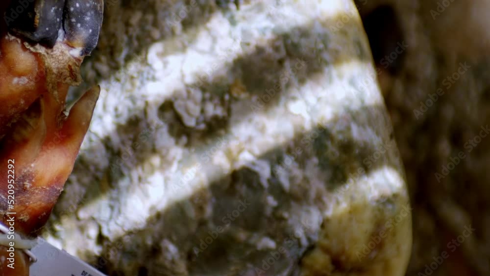 Leg of Iberian ham detailed macro shoot swinging, where it is seen in ...