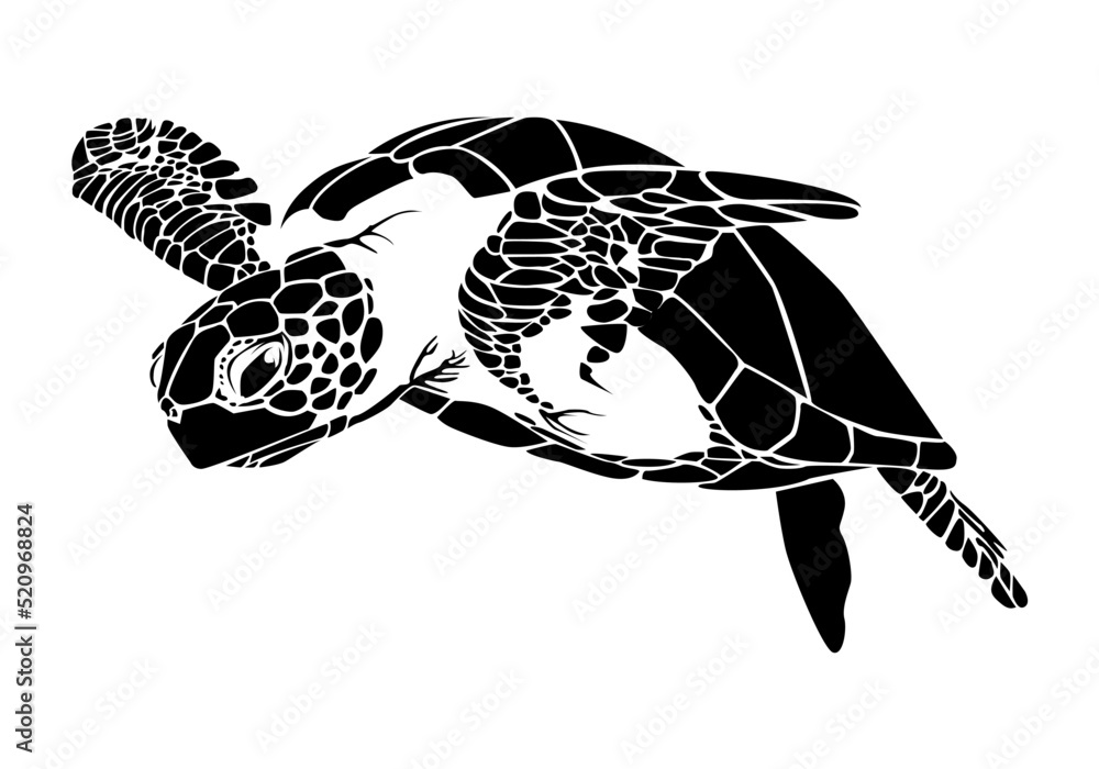 graphic sea turtle,vector illustration of sea turtle,vector of turtle ...