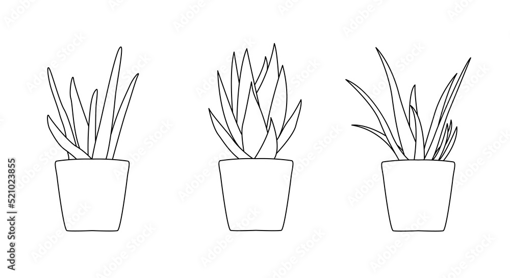Continuous line drawing of a flowers pots. Beautiful flowers isolated ...