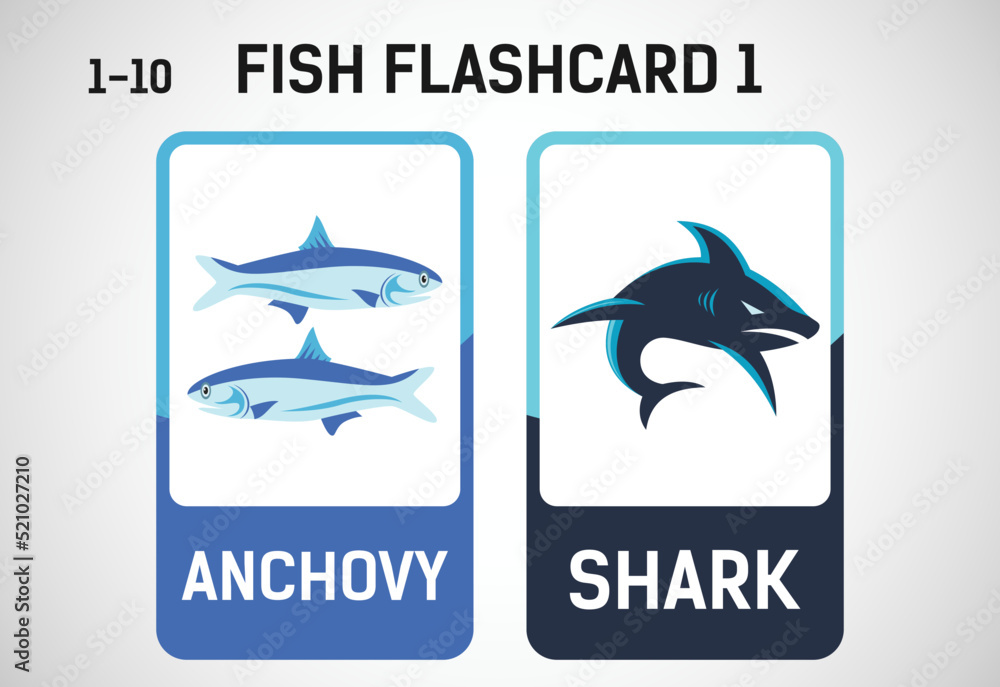 Fish flashcards for kids. Educational cards for preschool. Printable ...