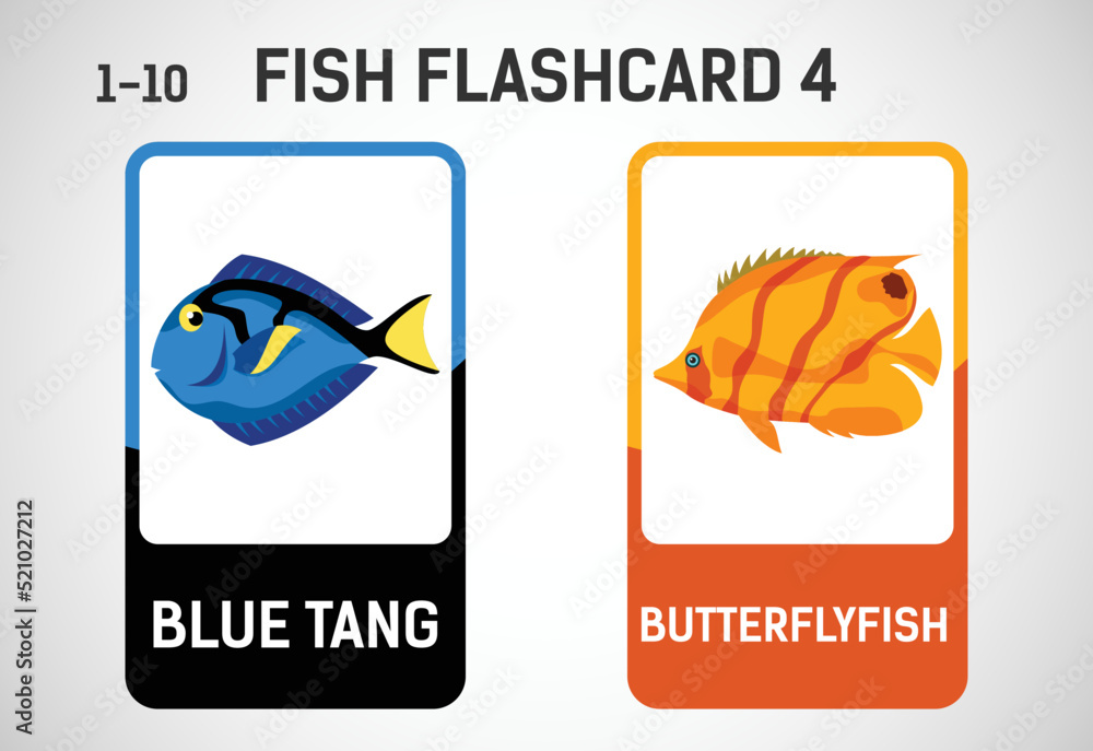 Fish flashcards for kids. Educational cards for preschool. Printable ...