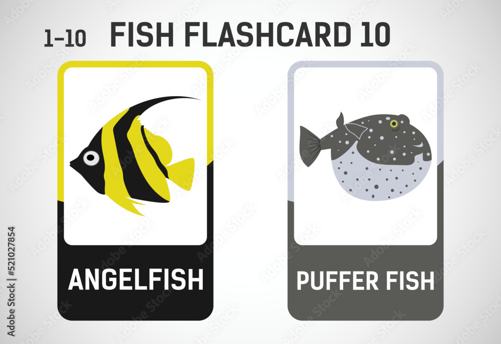 Fish flashcards for kids. Educational cards for preschool. Printable ...