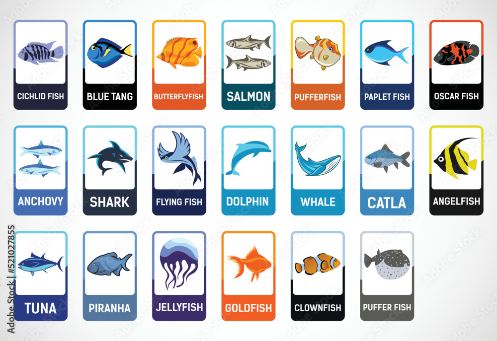 Fish flashcards for kids. Educational cards for preschool. Printable ...