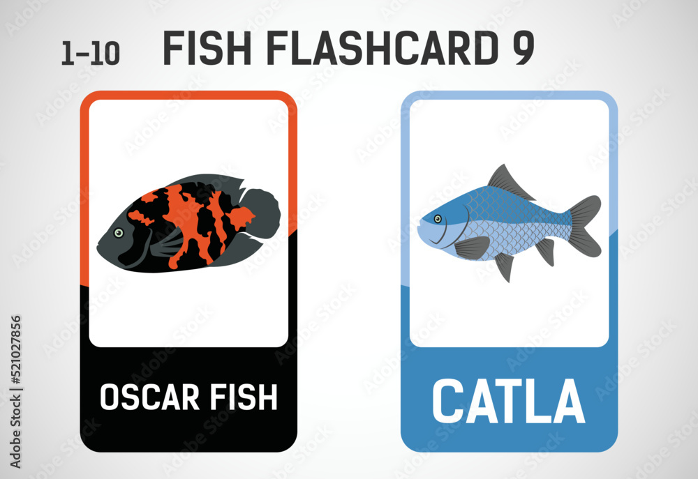 Fish flashcards for kids. Educational cards for preschool. Printable ...