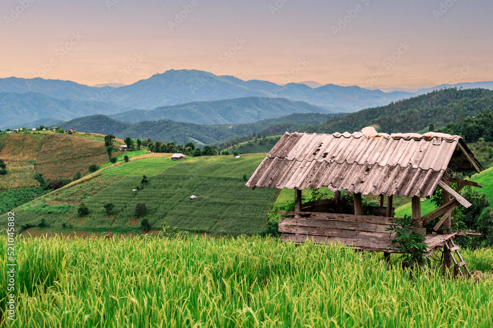 Photo & Art Print Ban pa pong piang rice terraces at chiangmai,This is ...