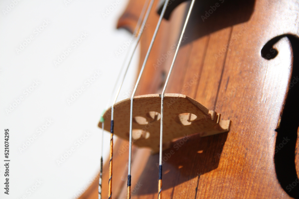 Violin strings on the arch of the bridge with beautiful wooden ...