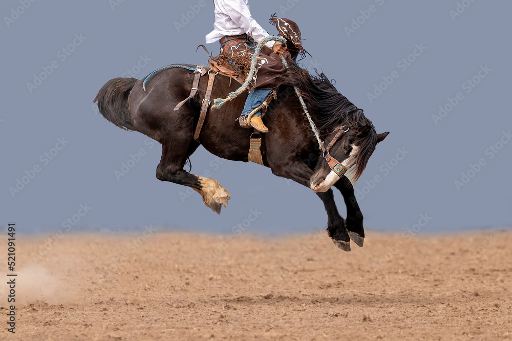 Photo Cowboy riding a bucking bronc at a country rodeo Australia ...