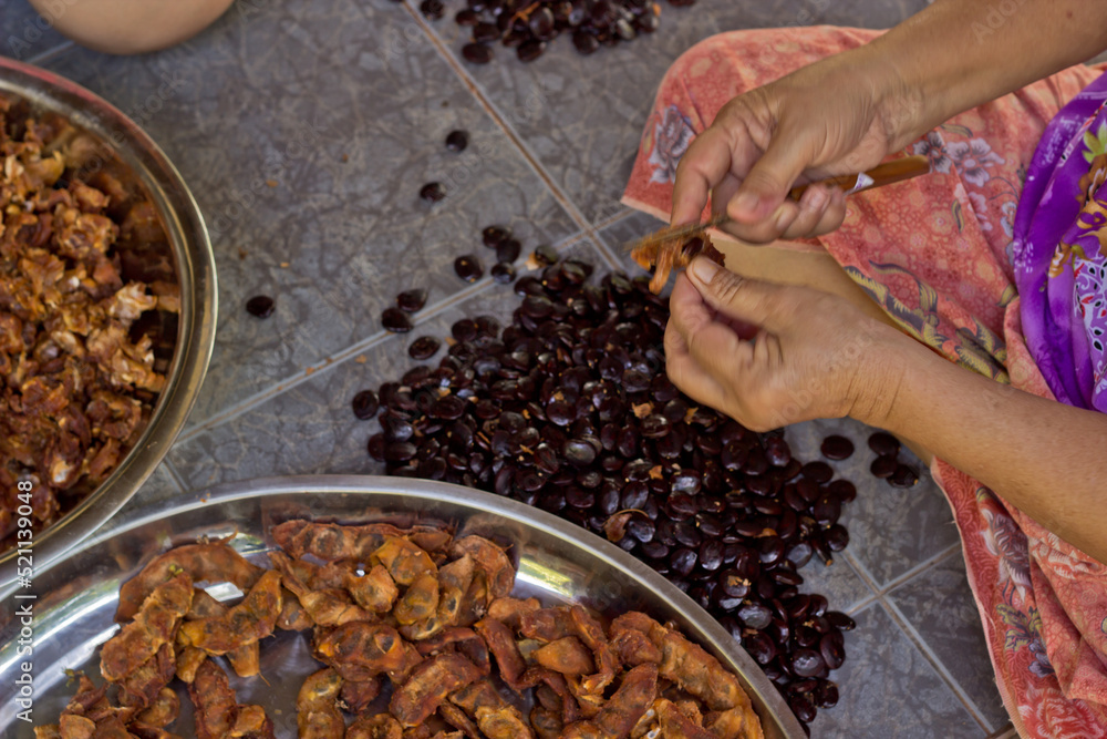 Tamarind processing, Fresh brown tamarind fruit as background Stock ...