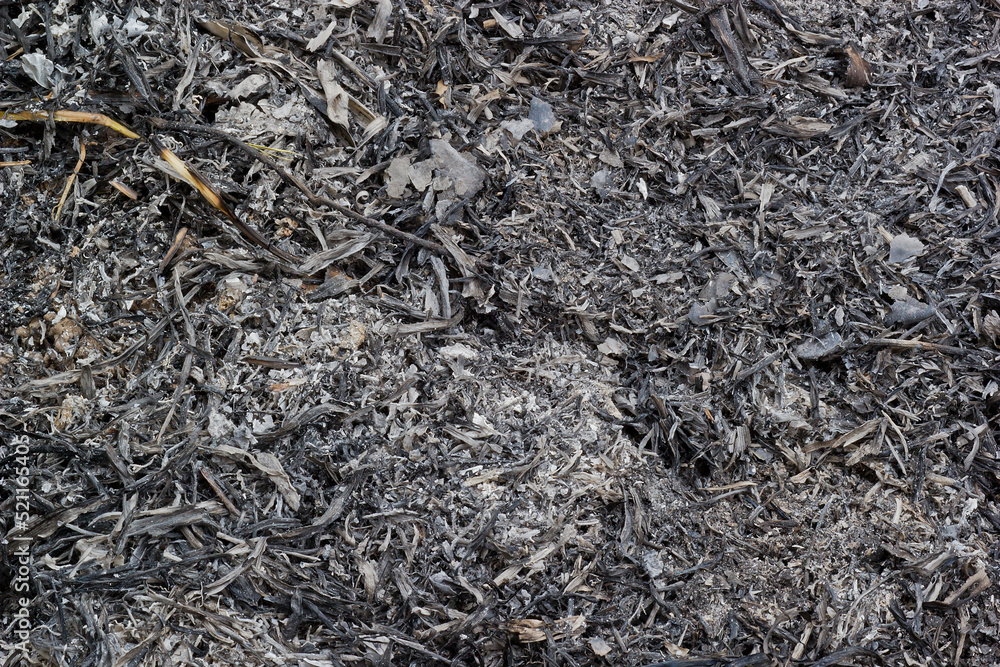 Ashes texture background. Wood ash in fireplace. Defocused charcoal ...