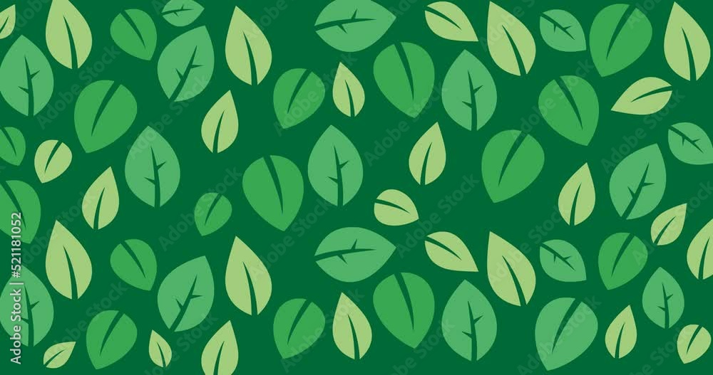natural green leaf background animation Stock Video | Adobe Stock