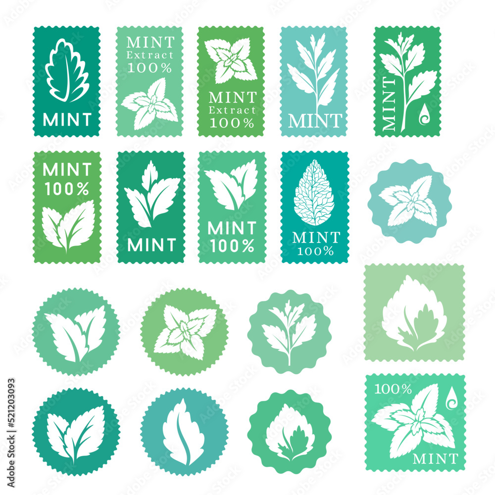 Mint leaves badges, banners and stickers collection Stock Vector ...