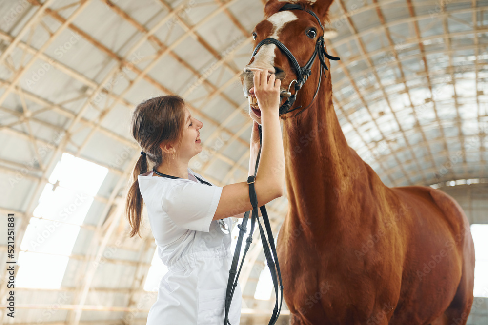 Looking at the mouth and teeth. Female doctor in white coat is with ...