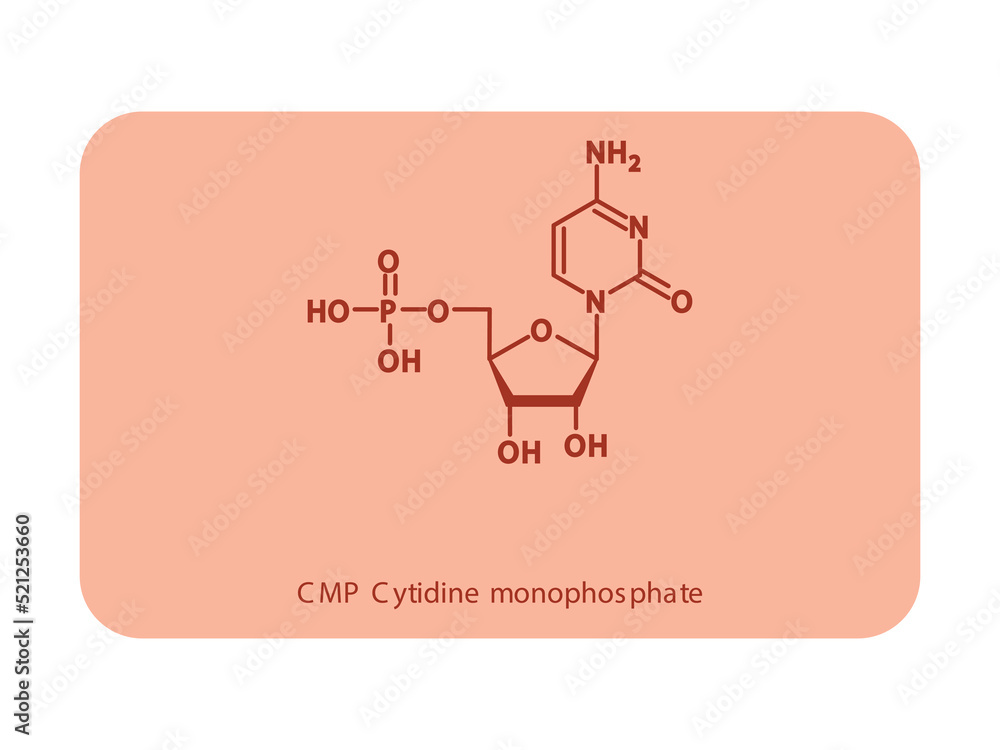 CMP Cytidine monophosphate Nucleotide molecular structure diagram on ...