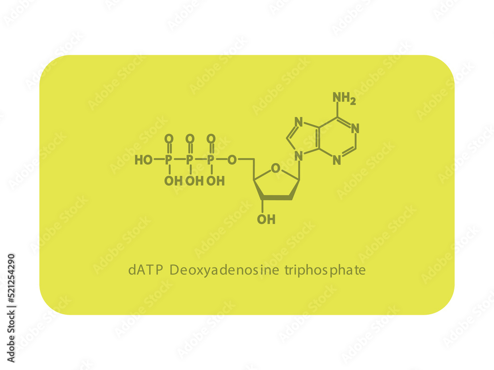 dATP Deoxyadenosine triphosphate Nucleoside molecular structure diagram ...