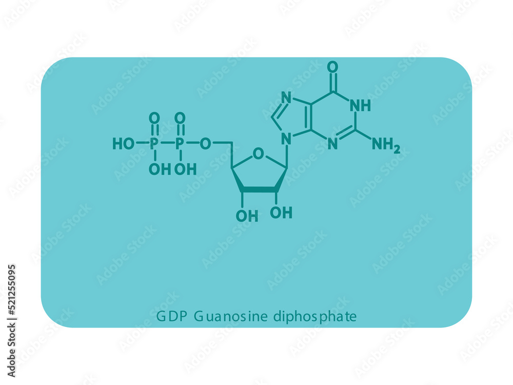 GDP Guanosine diphosphate Nucleoside molecular structure diagram on ...