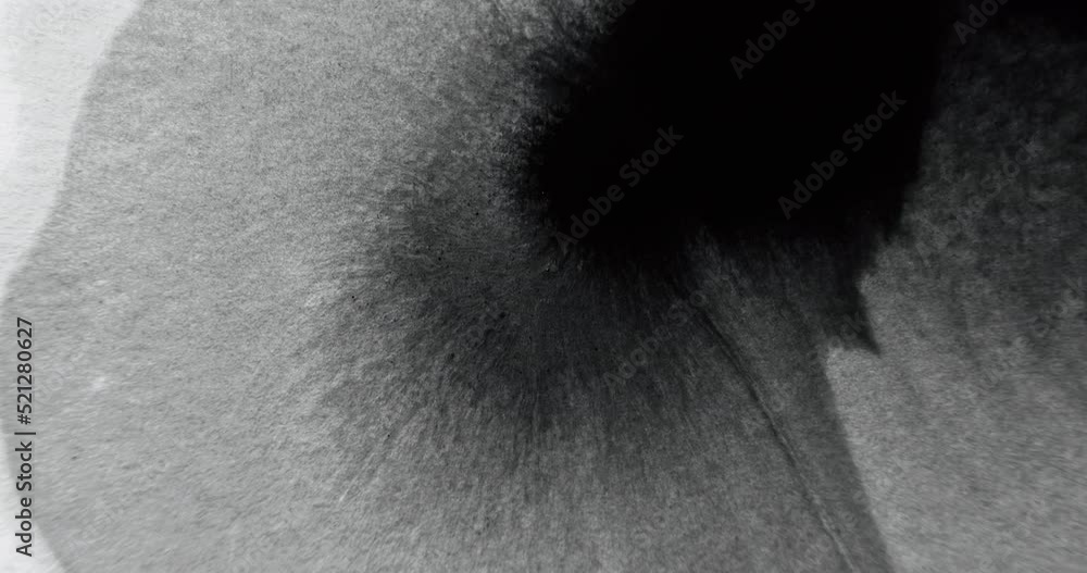 Paint water spill. Opener transition. Presentation overlay. Black ink ...