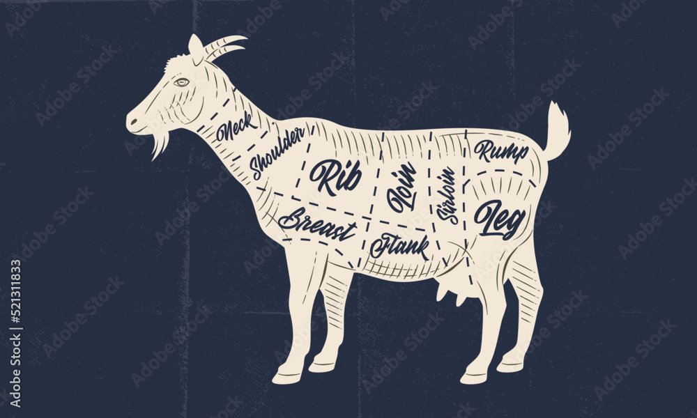 Goat meat chart. Butchery poster with goat meat cuts and paper craft ...