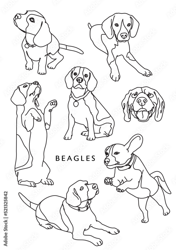 Beagle Vector Collection Different Poses Outline Stock Vector | Adobe Stock