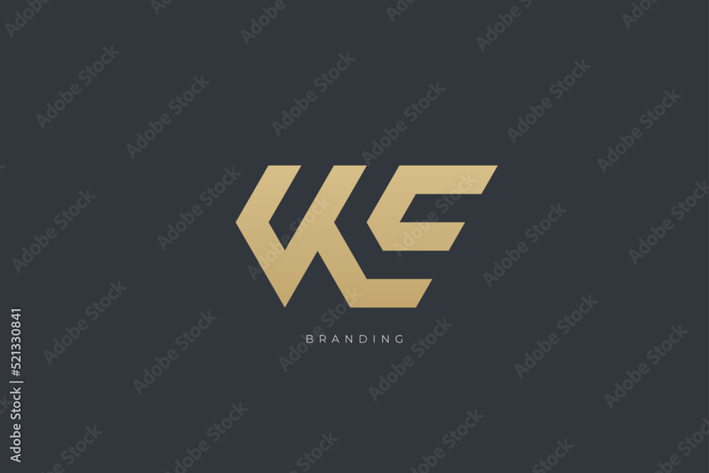 WE Letter W Combination Monogram Logo Stock Vector | Adobe Stock