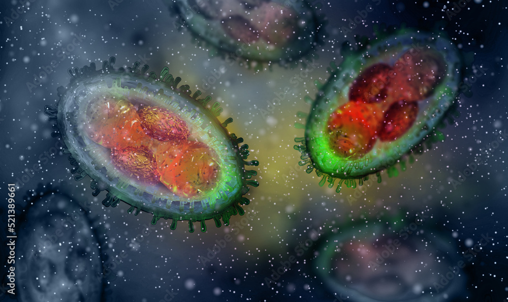 Medical background, Monkeypox virus, Zoonotic virus from the Poxviridae ...