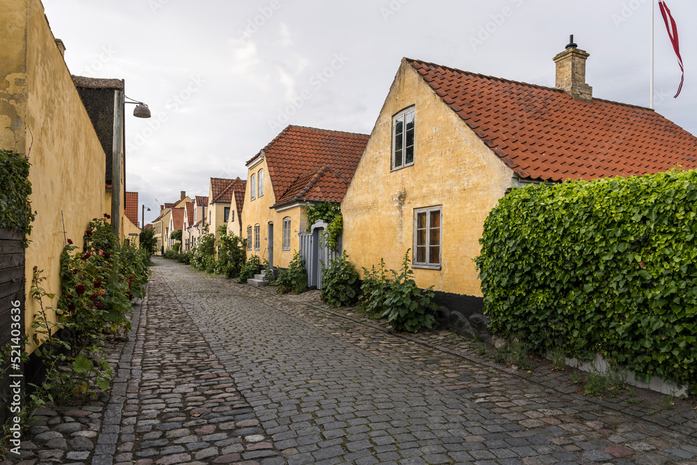 street with traditional houses and lush vegetation of Hollyock plants ...