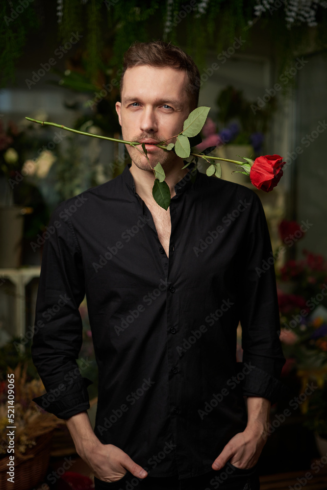 Sexy attractive macho man or lover with mustache holding one red rose ...