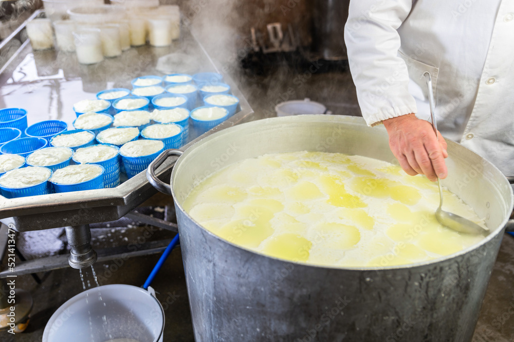 Cheesemaker pours the ricotta into plastic forms - process of making ...