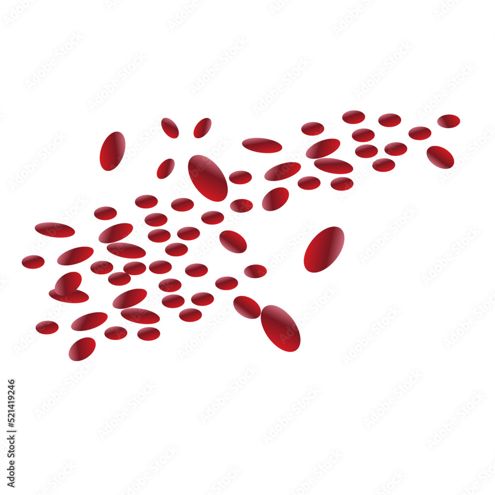Blood cell types poster, banner. Anatomy vector of human blood cells ...