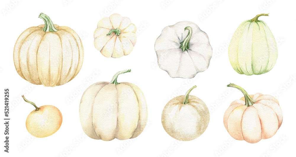 Watercolor pastel pumpkins set on white backdrop. Fall harvest clipart ...