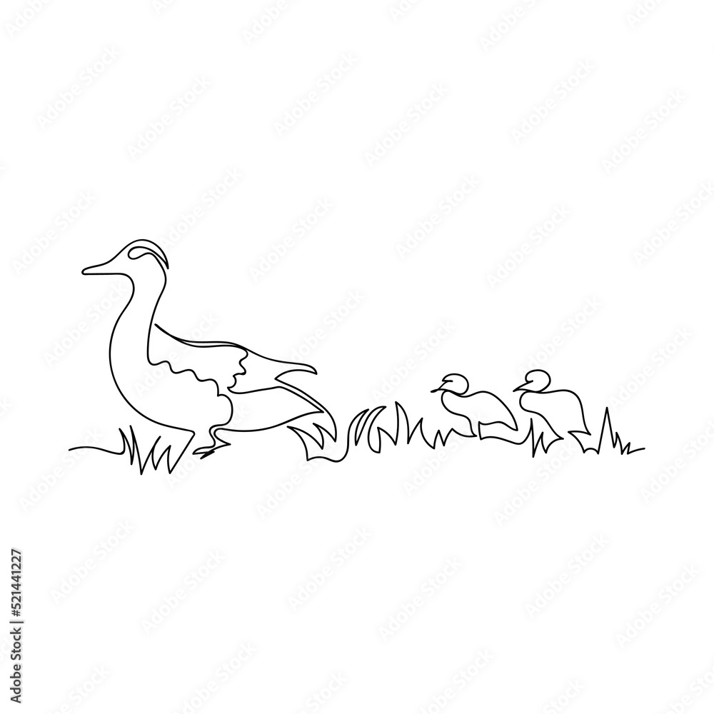 Continuous line drawing Duck and ducklings. Isolated sketch on white ...