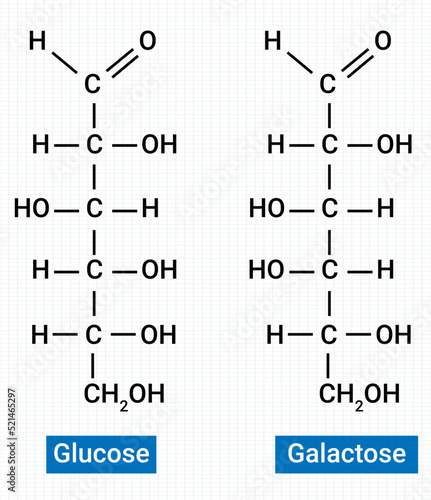 Glucose Vs Galactose Structure