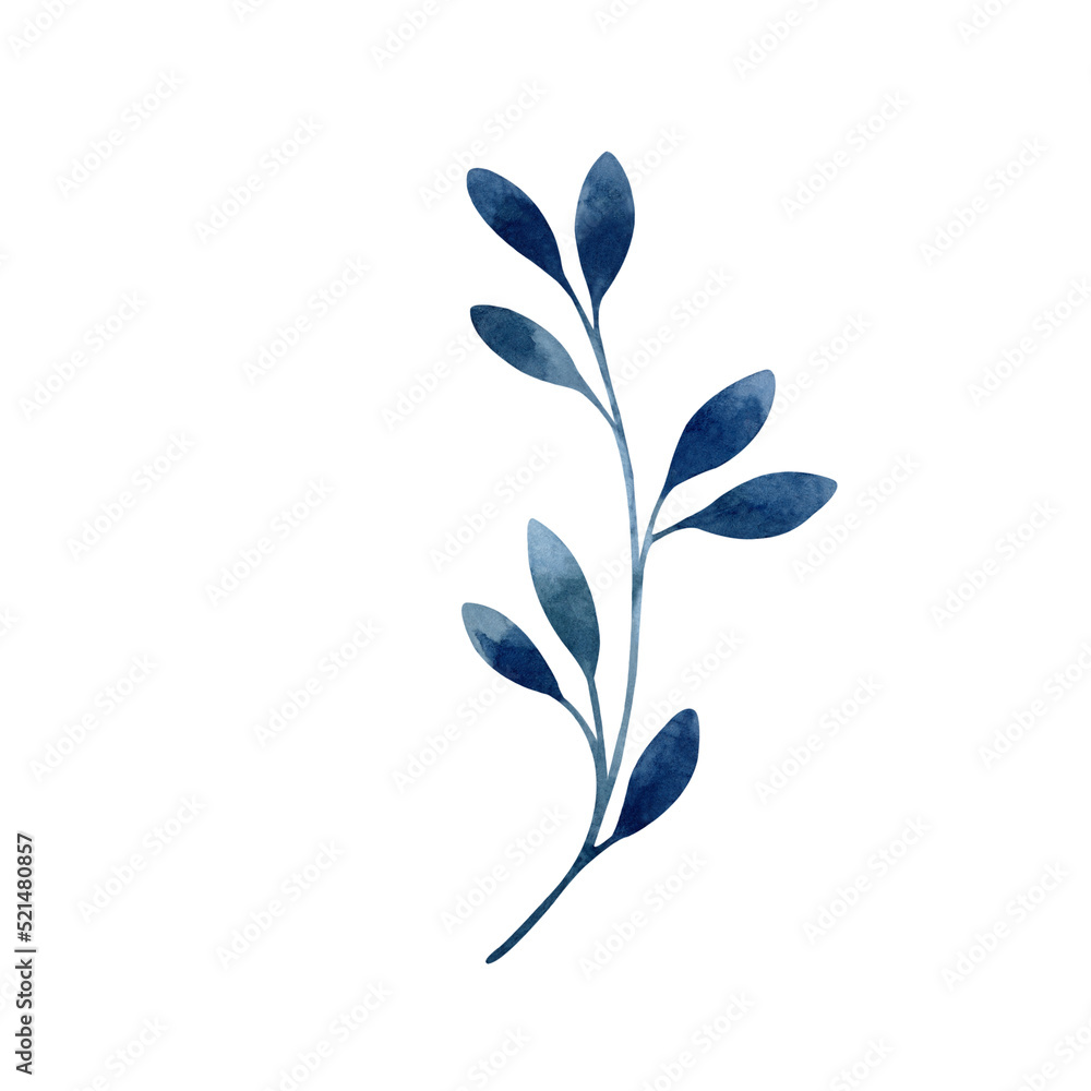 Watercolor blue branch clipart on white background. Hand drawn herb ...