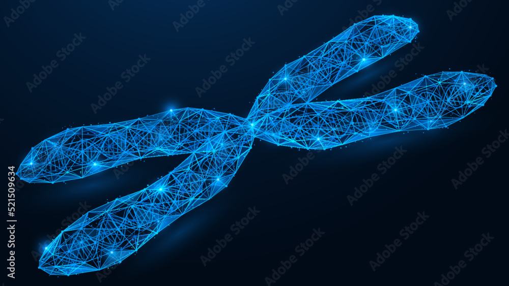 X-Chromosome contains a DNA helix. Low-poly design of interconnected ...