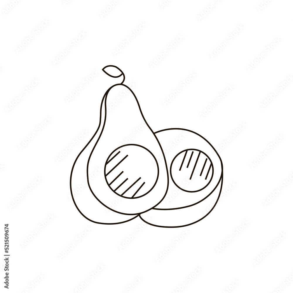 Single hand drawn avocado. Doodle vector illustration. Isolated on ...