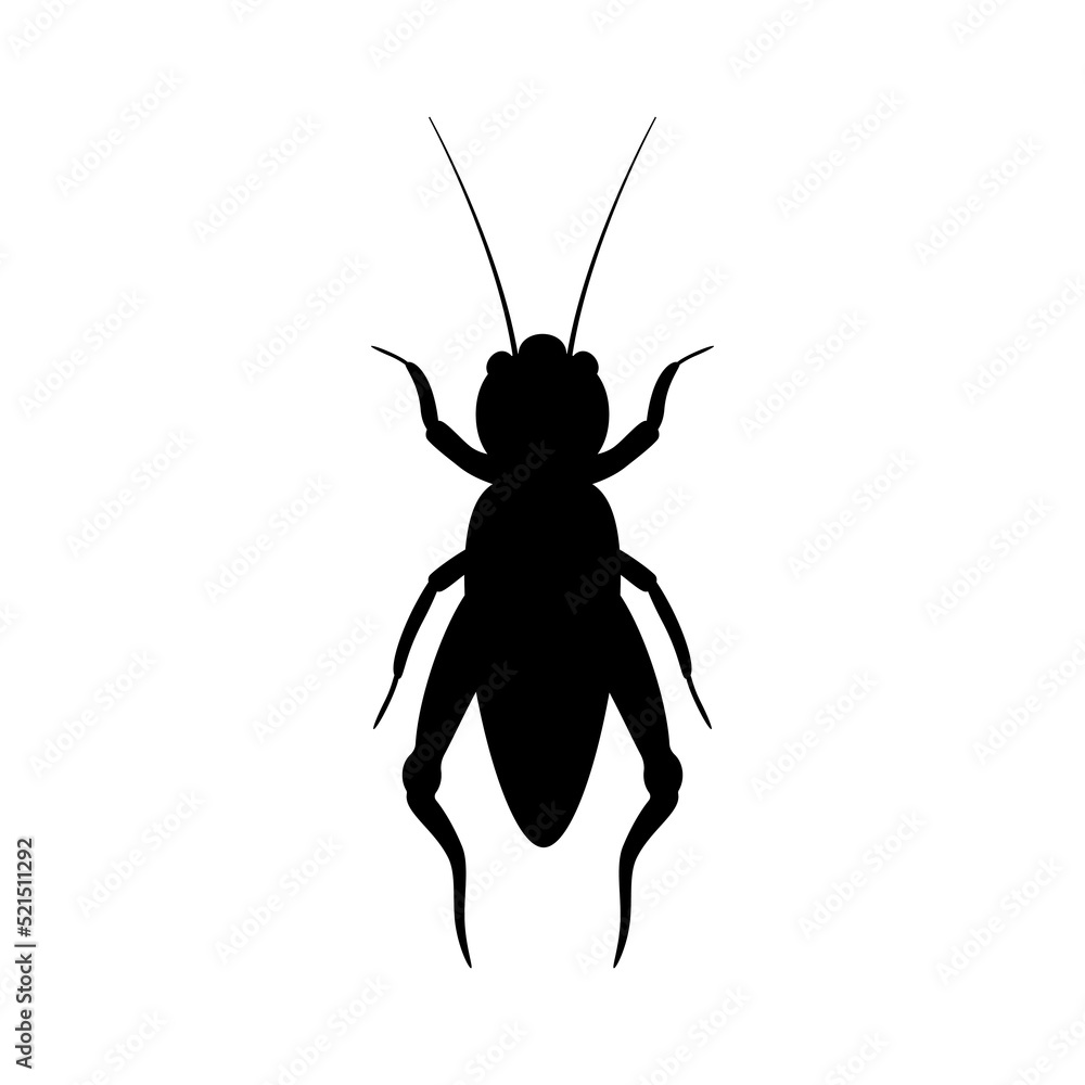 Black silhouette of cricket. Realistic orthopteran insect with long ...