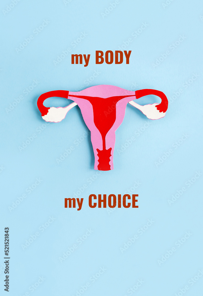 Paper application of the uterus from colored cardboard and the phrase ...