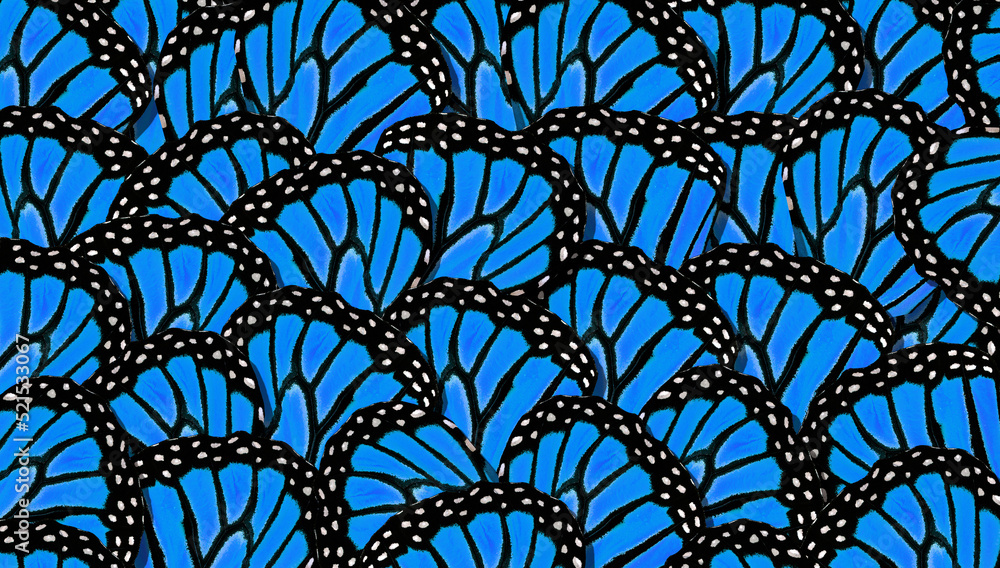 monarch butterfly wings. abstract pattern of tropical monarch butterfly ...