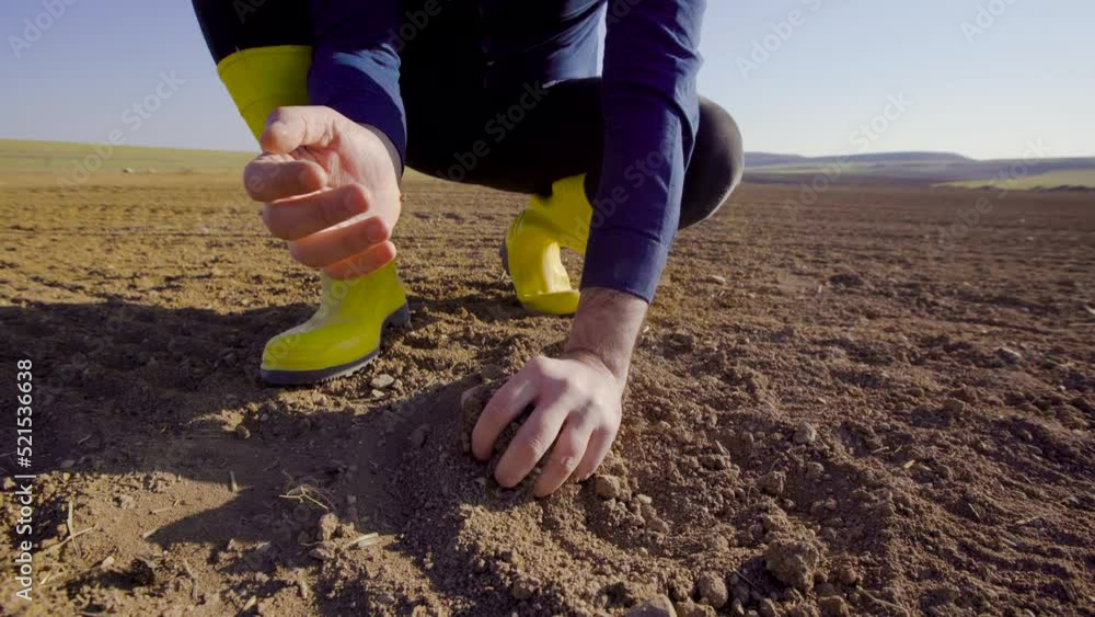 Grabs and pours the soil with the farmer's hand. Farmer scooping soil ...