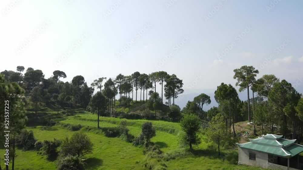 Drone flying towards tall pine trees of Panjpeer Rocks, a popular and ...