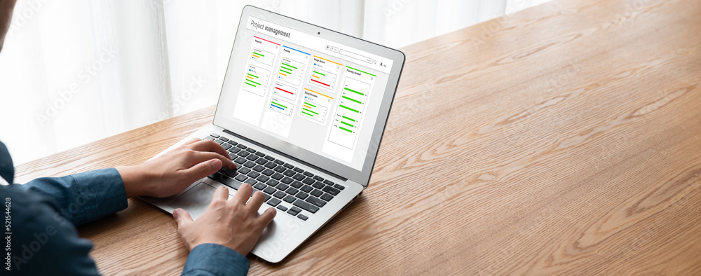 Project planning software for modish business project management on the ...