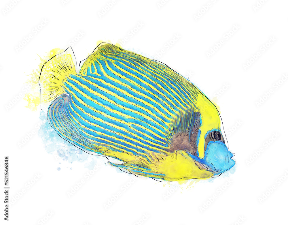 Watercolor Angel Fish