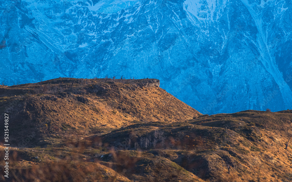 carros de color café con arboles de baja altura en contraste con ...