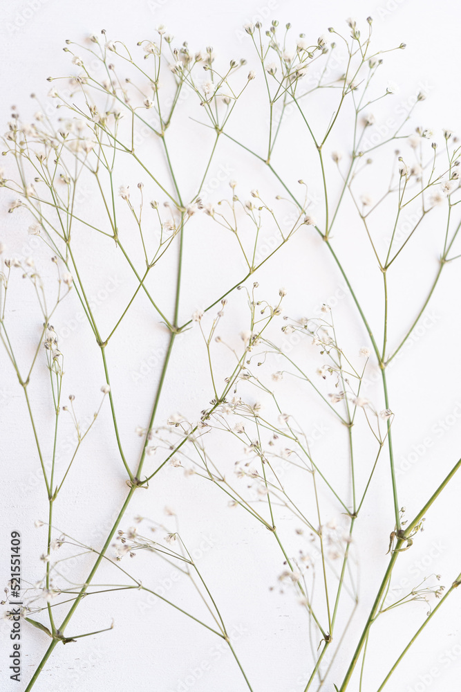 fondo de flor de nube blanca sobre fondo blanco Stock Photo | Adobe Stock